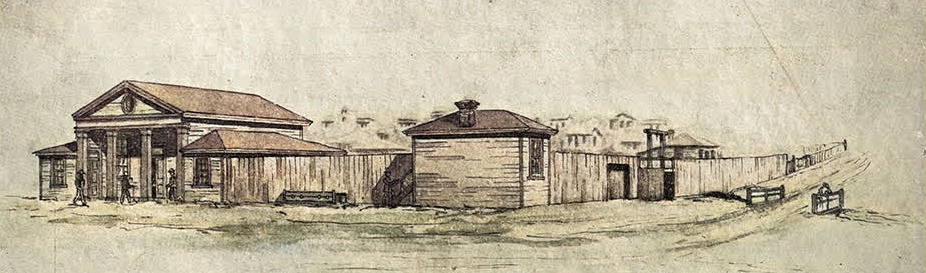 Anarchist History of New Zealand