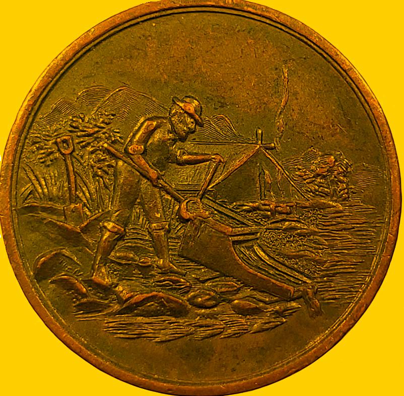Anarchist History of New Zealand