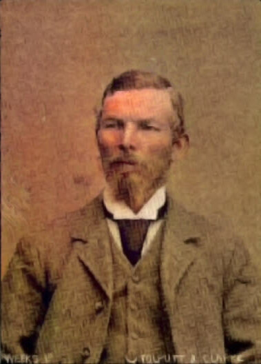 Anarchist History of New Zealand